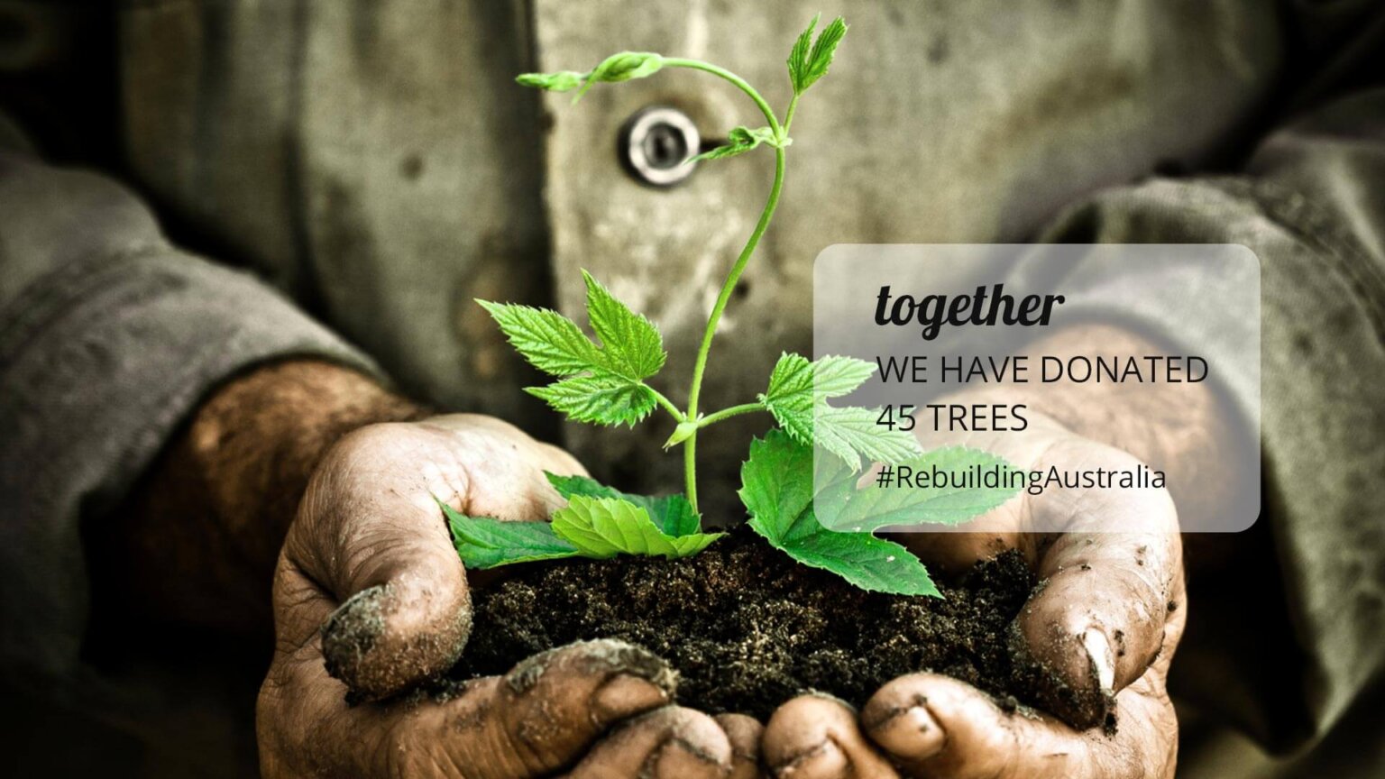 Puro Design Our achievements | Puro Design