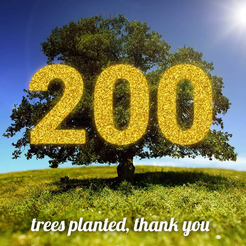 We’ve donated 200 trees to be planted in Australia | PURO DESIGN